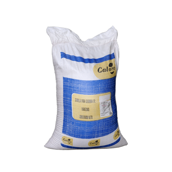 AVENA CHIHUAHUA | El Tomate de Oro